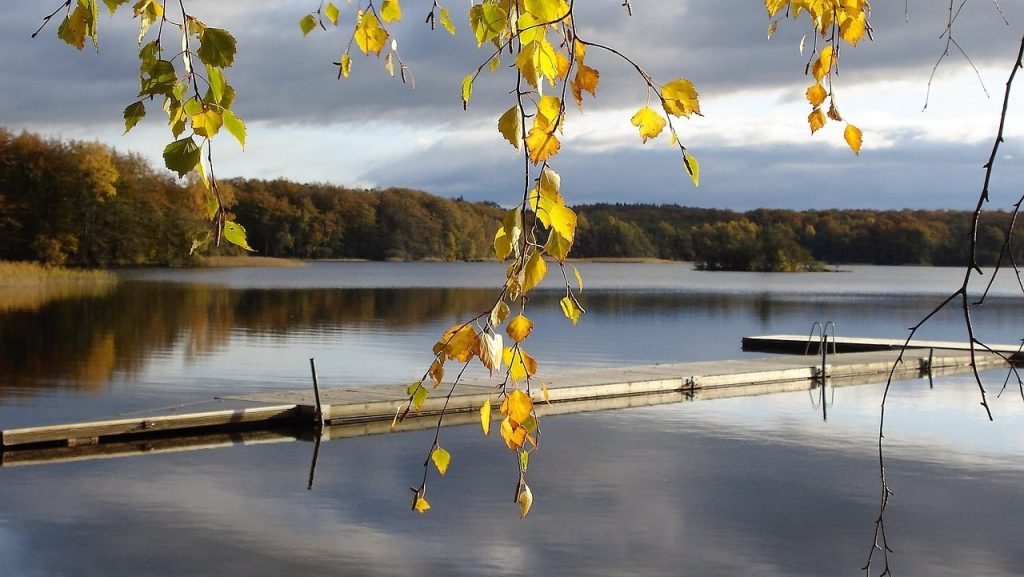 Co-ordination of LANDPATHS - LANDPATHS