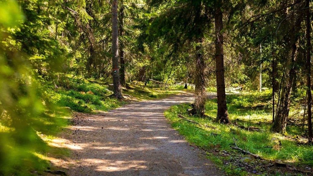 Barriers and opportunities for change - LANDPATHS