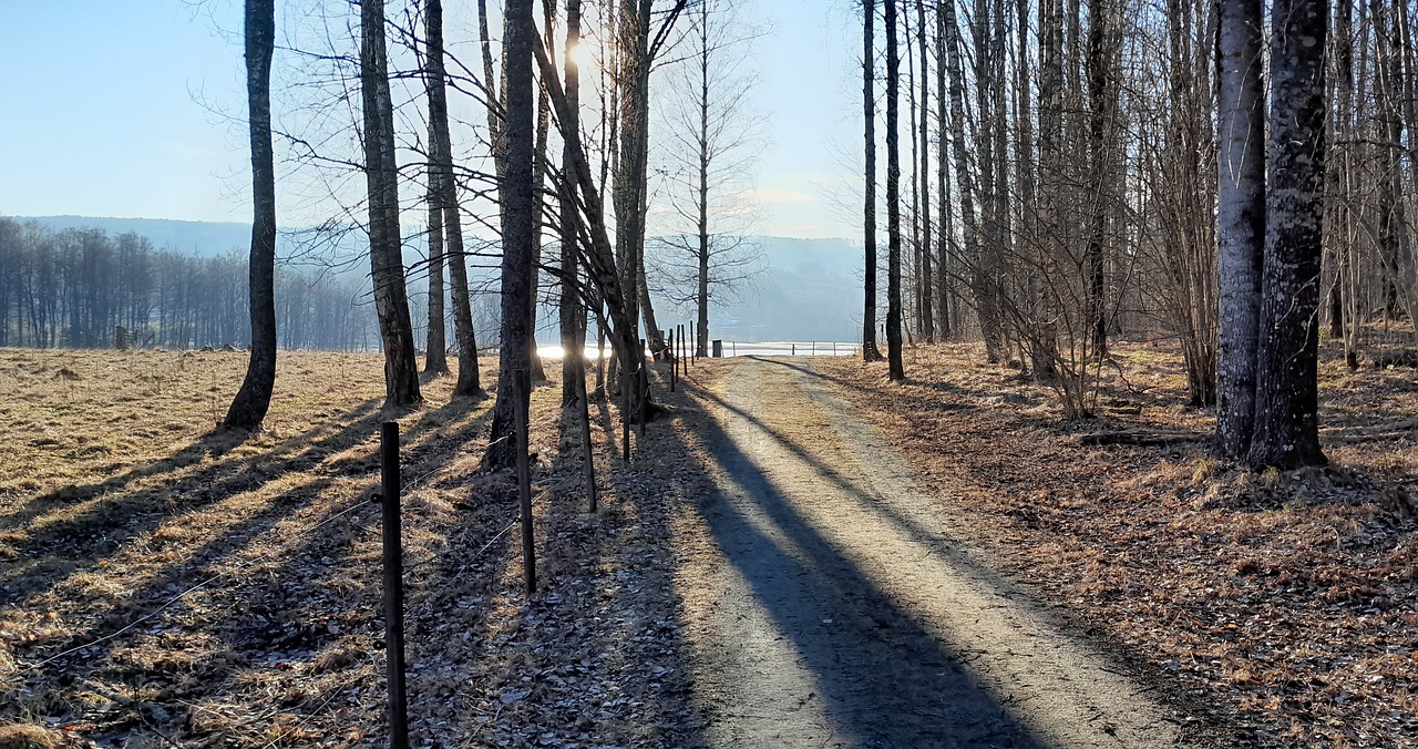 Future multifunctional landscapes in Sweden - LANDPATHS