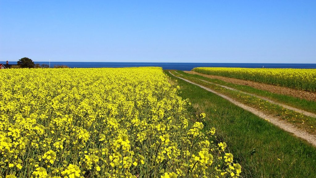Agricultural landscapes - LANDPATHS